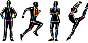 The Complete Guide to Human Pose Estimation - Kemtai